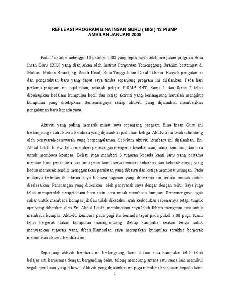 Contoh Refleksi BIG | PDF
