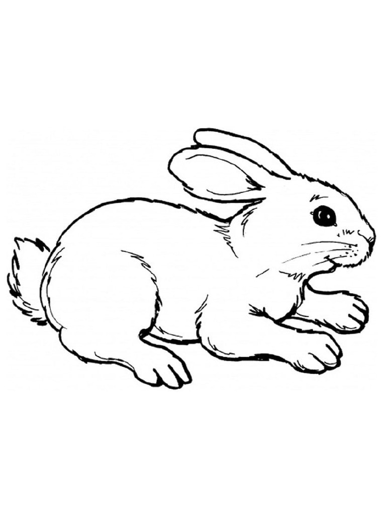Conejos para Colorear - JPG | PDF