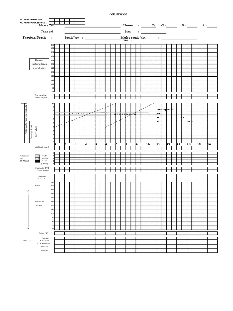 Partograf 2011 | PDF