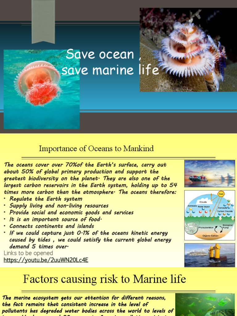 Save Our Oceans: Protect Marine Life | PDF | Pollution | Oceans