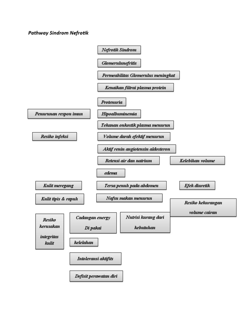 Pathway Sindrom Nefrotik | PDF
