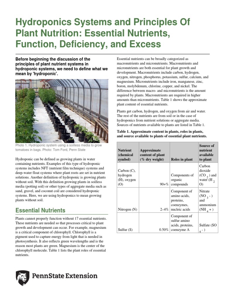 Hydroponics Systems and Principles of Plant Nutrition: Essential ...