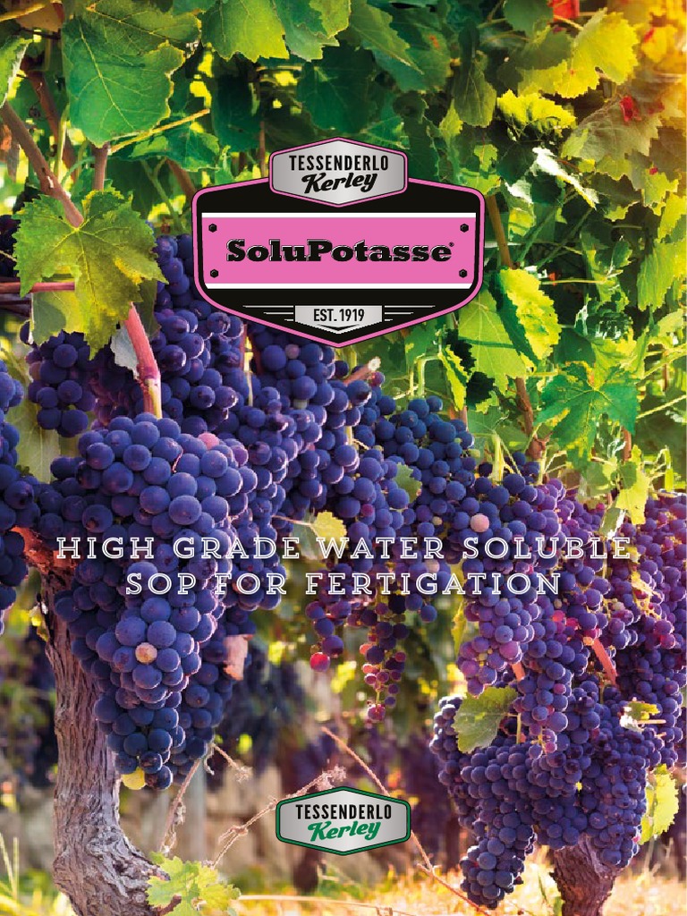 High Grade Water Soluble SOP For Fertigation | PDF | Diet & Nutrition ...