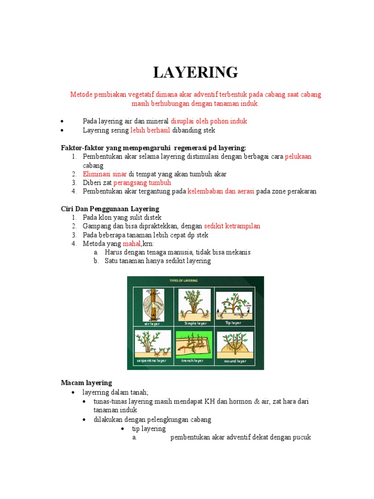Layering | PDF
