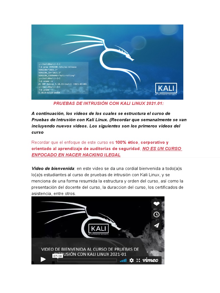 Pruebas de Intrusión | PDF | Prueba de penetración | Seguridad