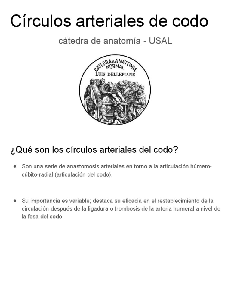 Círculos de Codo | Descargar gratis PDF | Codo | Extremidades (anatomía)