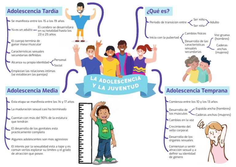 Mapa Mental - Etapas de La Juventud y de La Adolescencia | PDF | Adolescencia | Pubertad