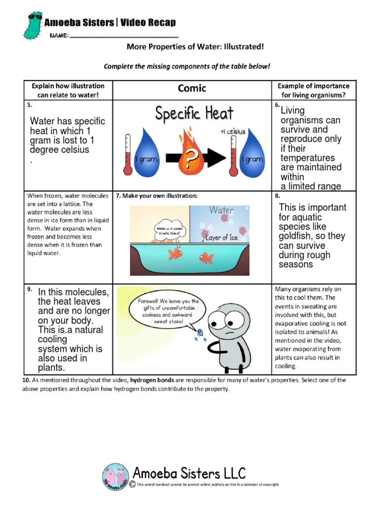 Water Molecular Structure Worksheet | PDF | Science & Mathematics