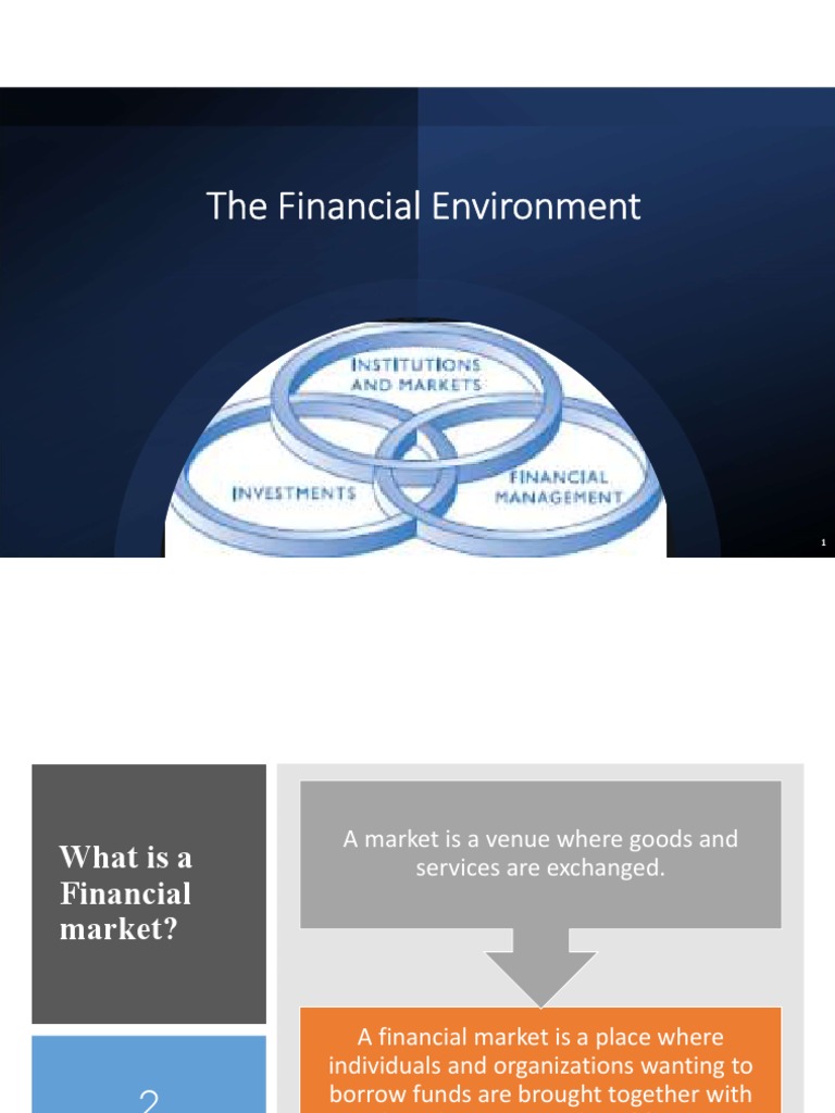 02 Financial Environment | PDF | Financial Markets | Securities (Finance)