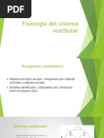 Maniobras para Vértigo Paroxístico Benigno | PDF | Vértigo | Medicina ...