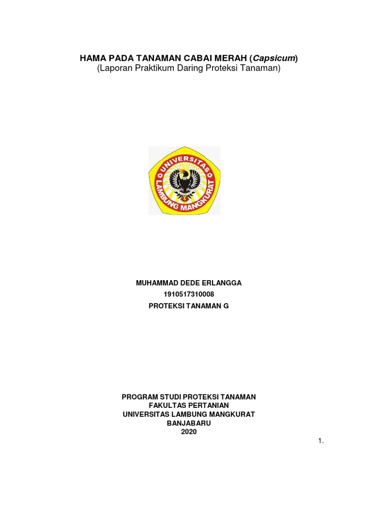 PrakONLINE Hama Muhammad Dede Erlangga - Proteksi | PDF