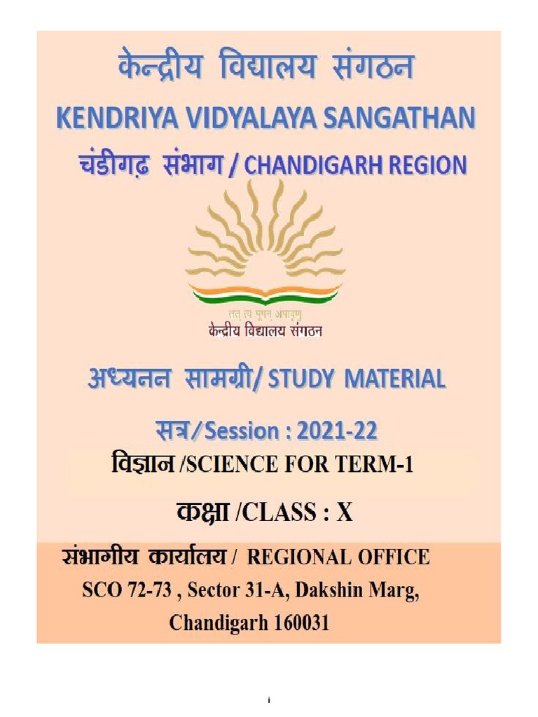 Class 10 Science Support Material | PDF | Redox | Oxide