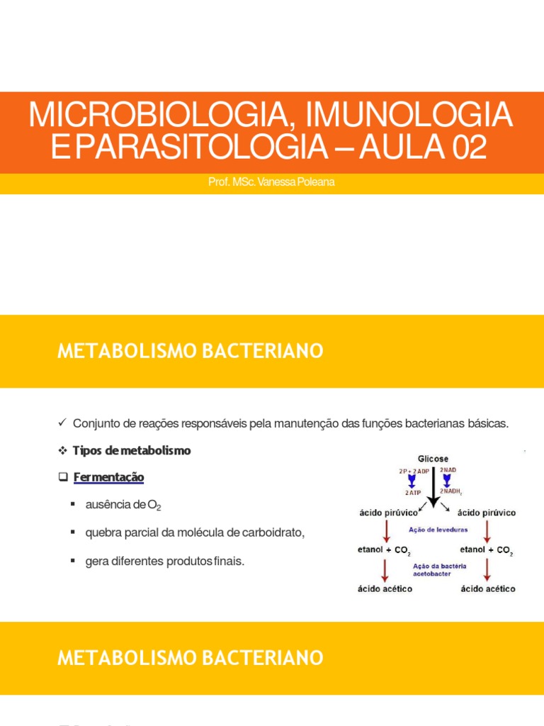Metabolismo e Crescimento Bacteriano | PDF | Bactérias | Respiração celular