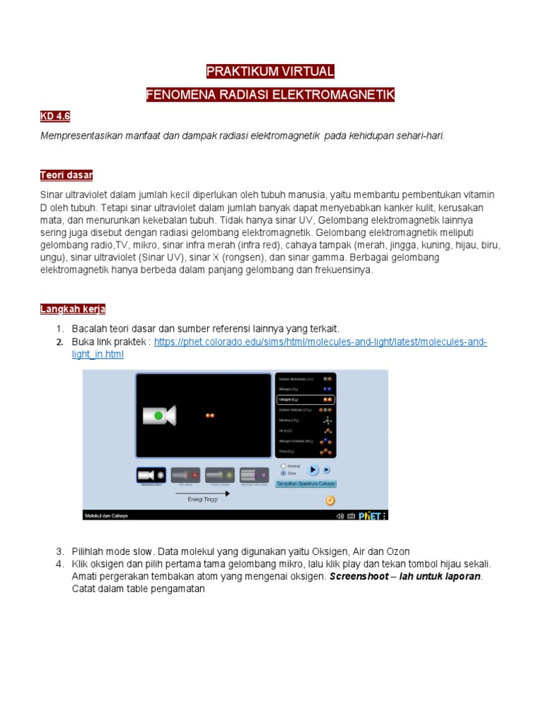 Praktikum Virtual Ge | PDF