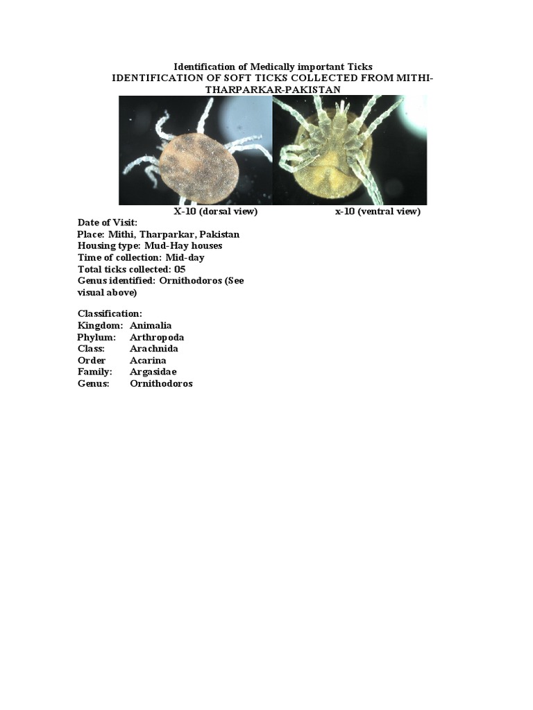 Identification of Medically Important Ticks | PDF | Microbiology ...