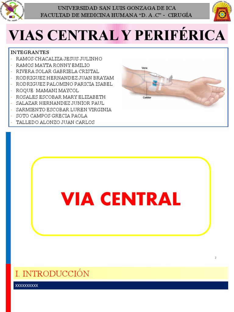 Técnicas de Canalización Venosa Central y Periférica | PDF | Terapia ...