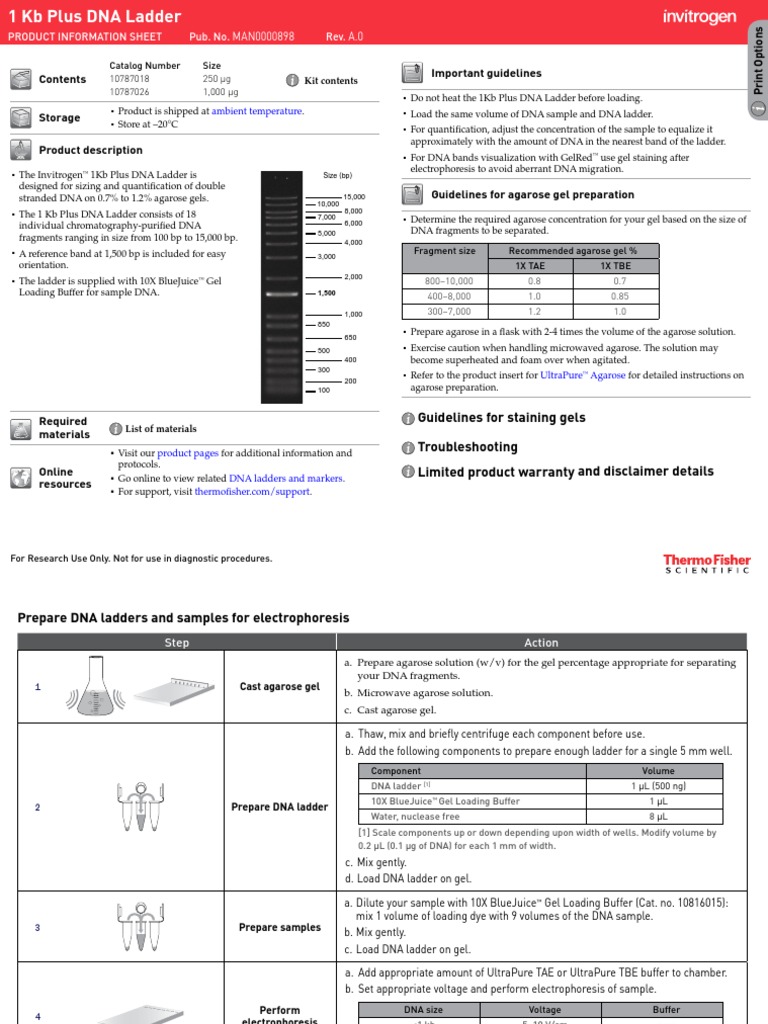 1Kb Plus DNA Ladder Man | Download Free PDF | Agarose Gel ...