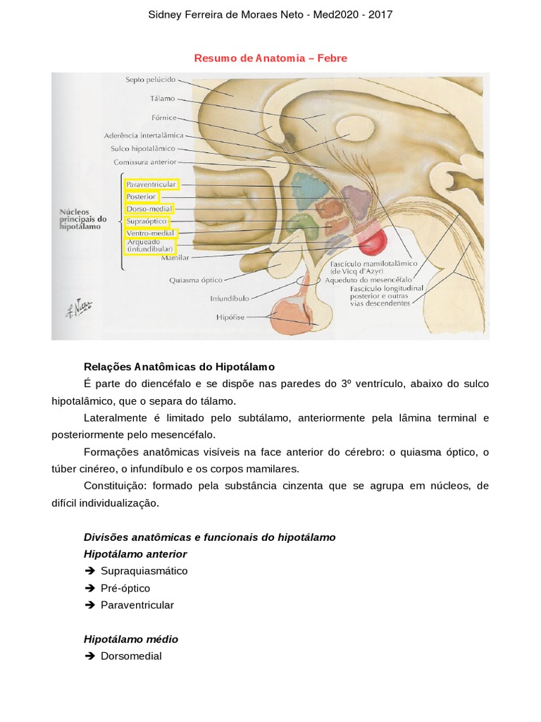 Resumo Morfo Febre | PDF | Sistema linfático | Fígado