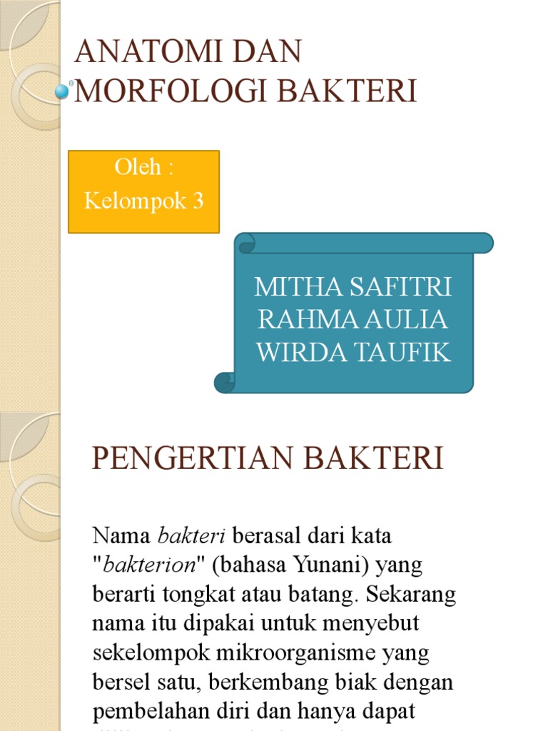 Anatomi Dan Morfologi Bakteri | PDF | Griya & Taman | Kesehatan Holistik