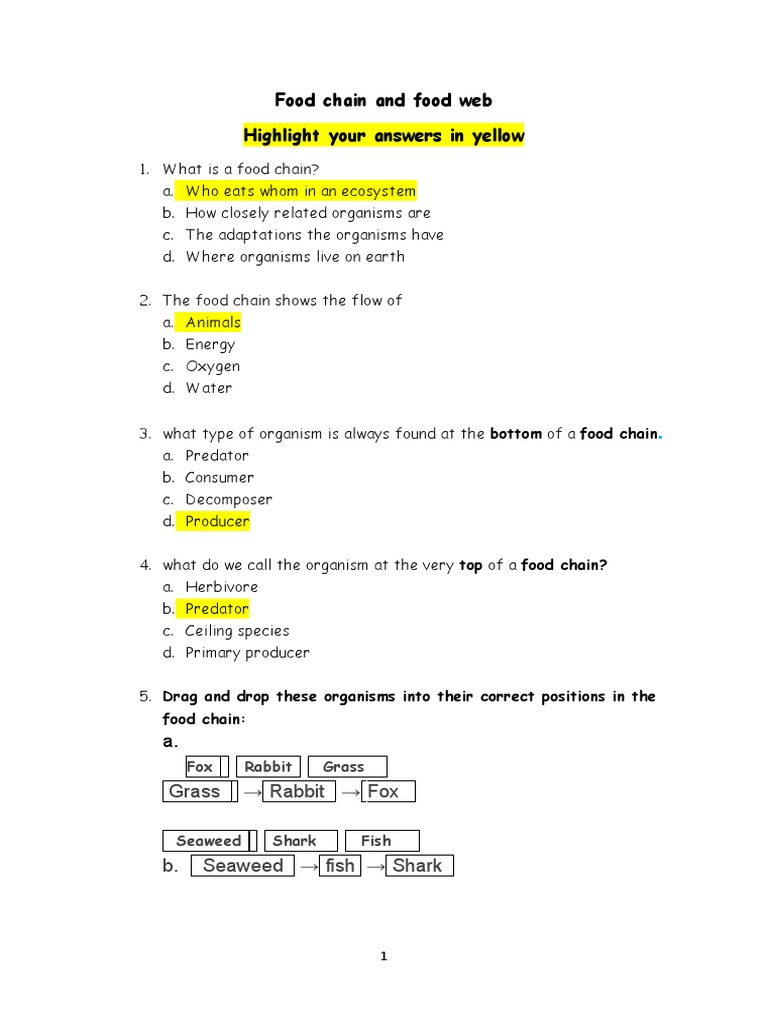 Food Chain and Food Web | PDF | Food Web | Frog