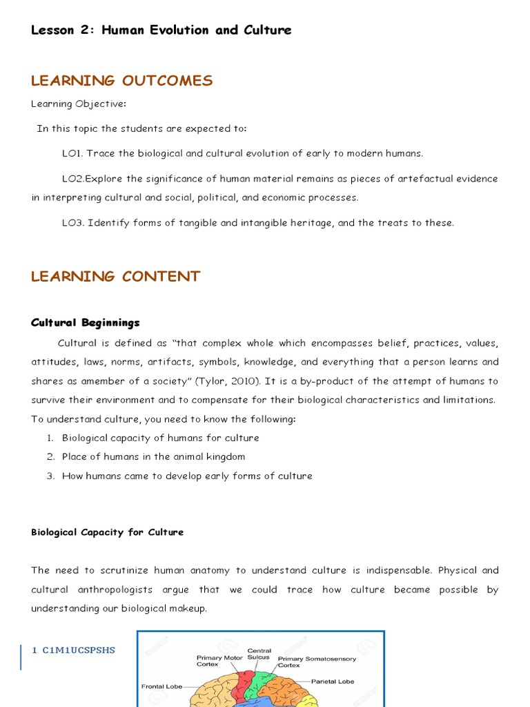 Lesson 2 Human Evolution Cuture Pdf Cultural Heritage Human