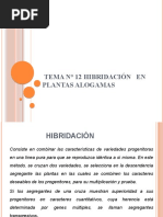 Plantas Autógamas y Alógamas: Guía Esencial | PDF | Botánica | Reproducción