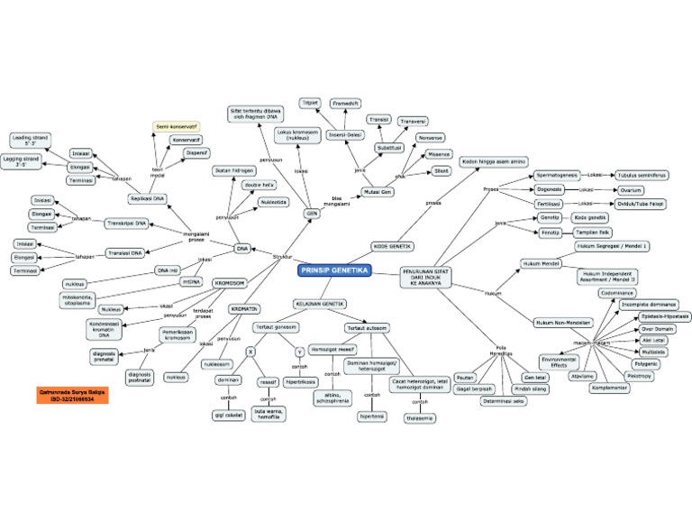 Mind Map DK2 Prinsip Genetika Qatrunnada Surya Balqis 2106653432 | PDF