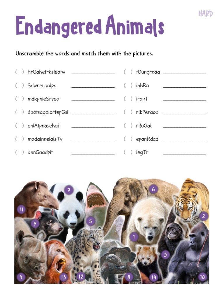 Word Scramble - Hard | PDF