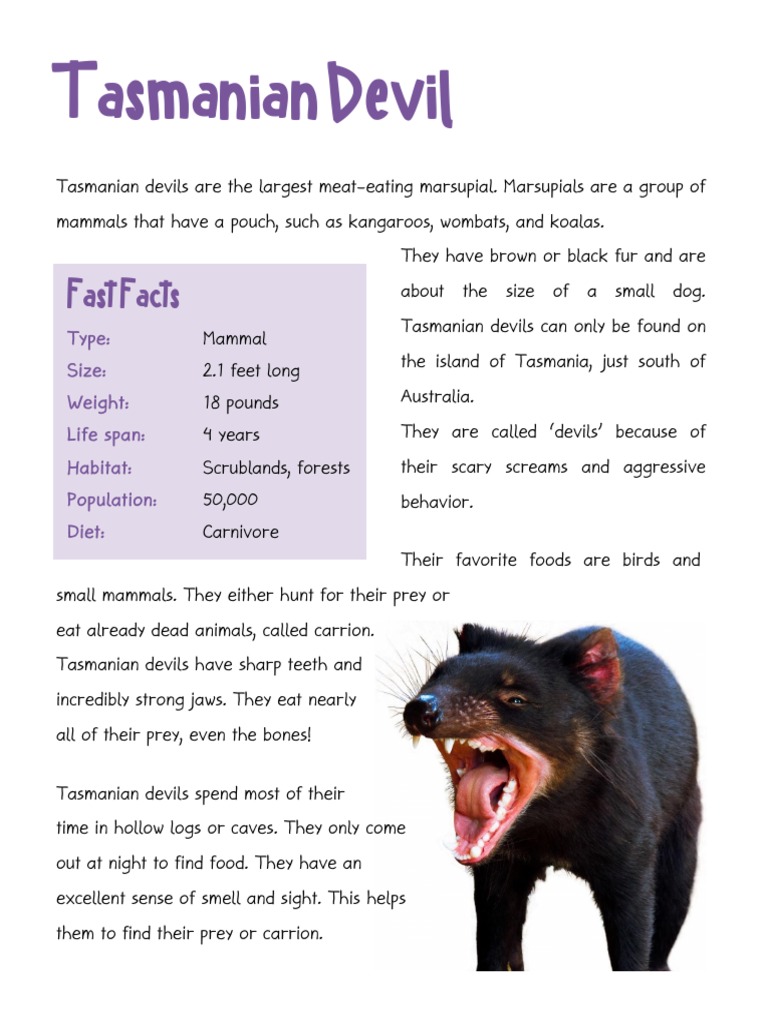 Tasmanian Devil: Fast Facts | PDF