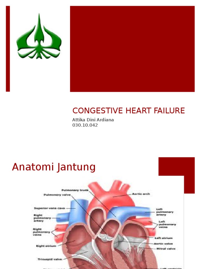 CHF Compress | PDF