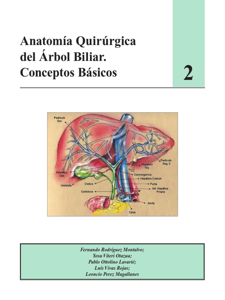 Variaciones De La Arteria Cística