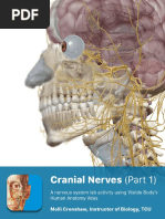 01 - Human Brain _ Labeling diagrams_Parts & Functions_Fill in the ...