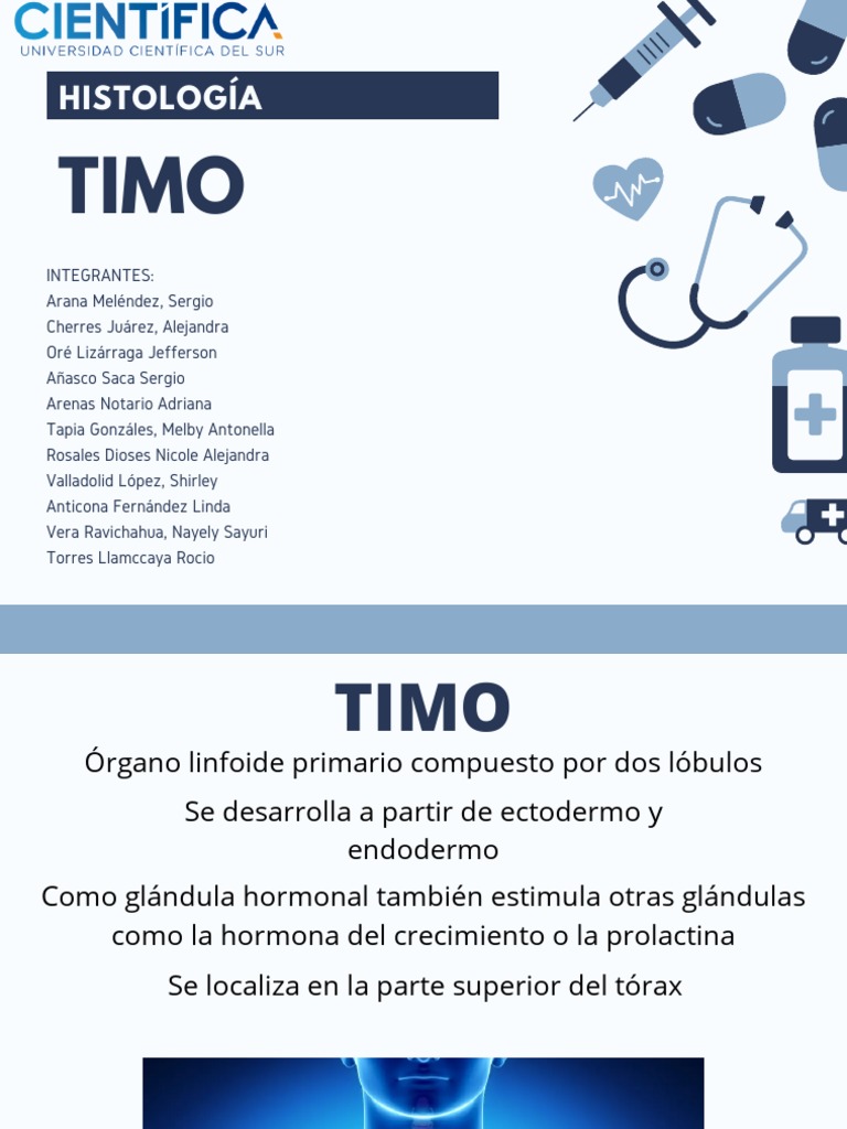 Histología y Funciones del Timo | PDF | Timo | Cáncer