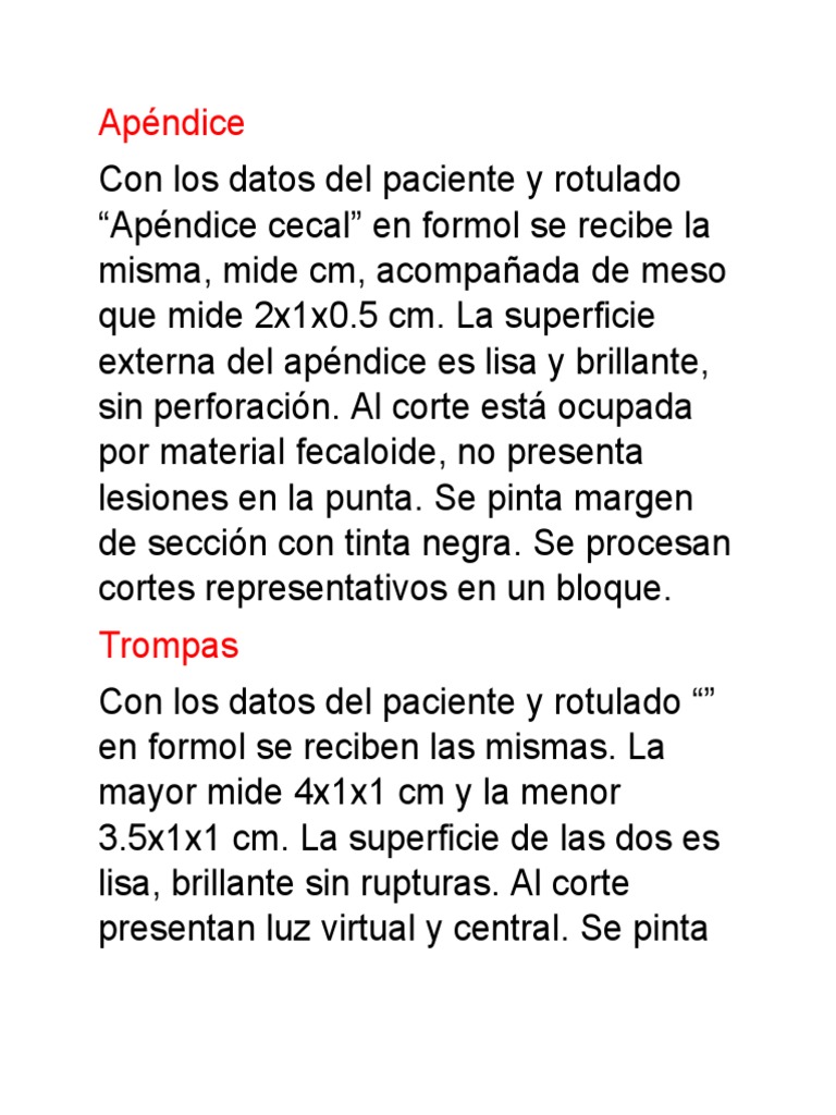 Apendice | PDF | Ovario | Anatomía