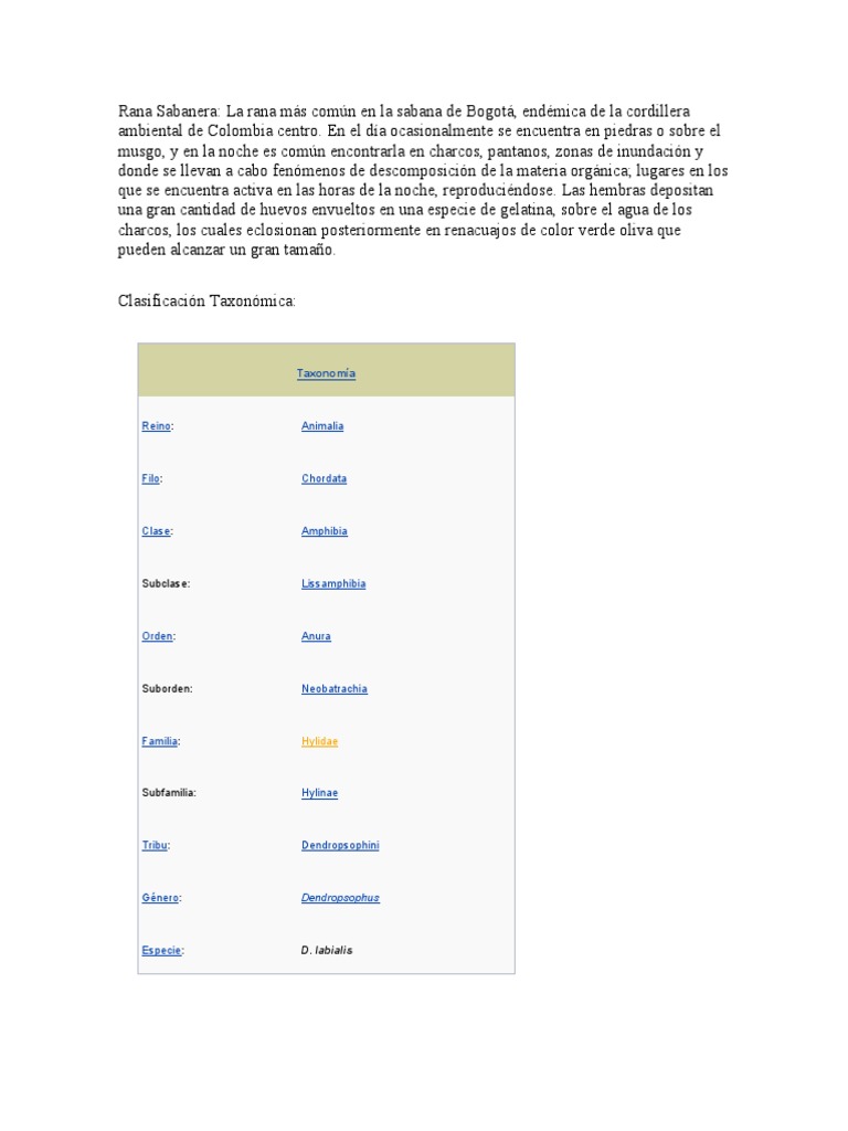 Rana Sabanera S, MDMMD | PDF