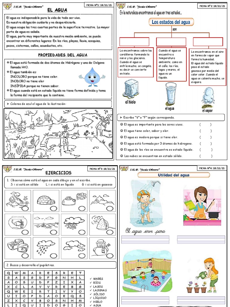 Ciencia y Ambiente Ficha N°1 Noviembre | PDF | Agua | Propiedades del agua