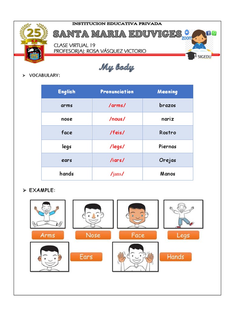 19 - My Body + Homework I | PDF