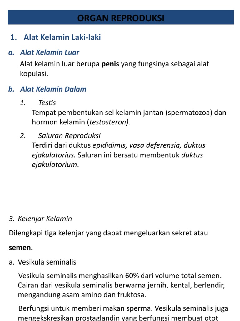 Sistem Reproduksi Manusia Kel 4 | PDF