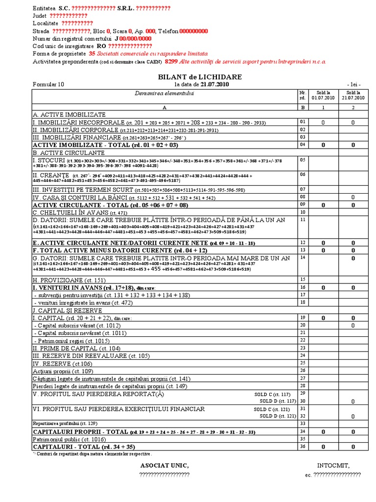 bilant_lichidare__formular