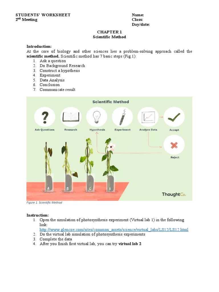 Scientific Method in Biology Experiments | PDF | Experiment ...