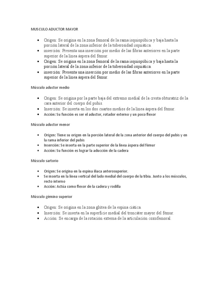 Musculo Aductor Mayor | PDF
