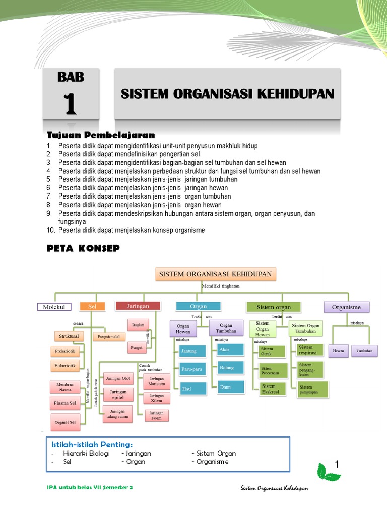 Modul - Sistem Organisasi Kehidupan | PDF