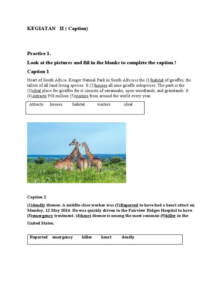 Captions and Meanings in Context | PDF