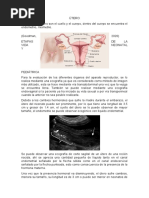 Tecnica de Cervicometria | PDF | Parto prematuro | Parto