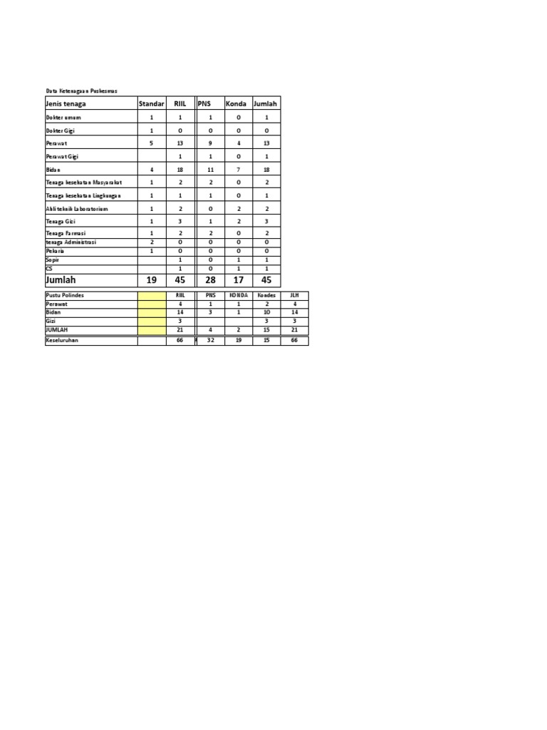 Data Ketenagaan Puskesmas | PDF