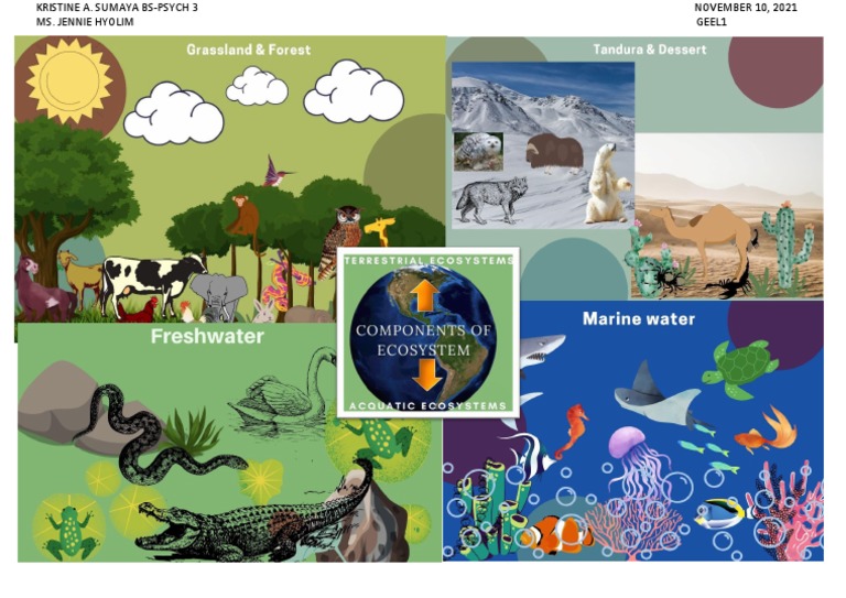 Ecosystem Collage | PDF