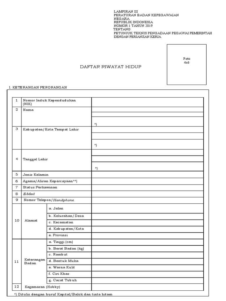 Format Daftar Riwayat Hidup PPPK | PDF
