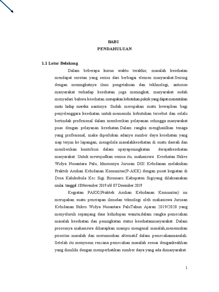 Praktek Kebidanan di Desa Kalukubula | PDF