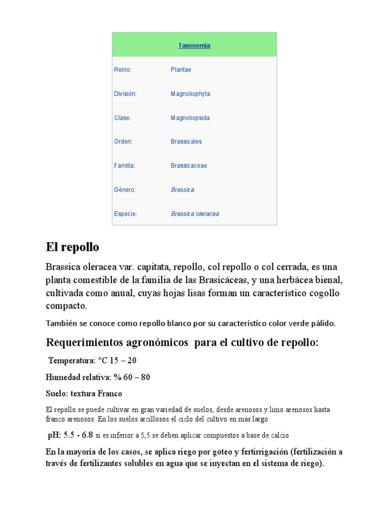 Taxonomía y Cultivo del Repollo | PDF | Repollo | Agricultura