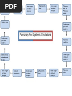 Muscular System Concept Map | PDF | Muscle | Artery